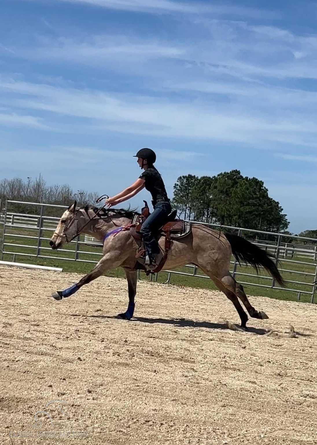 BEGINNER SAFE BARREL POLES RANCH