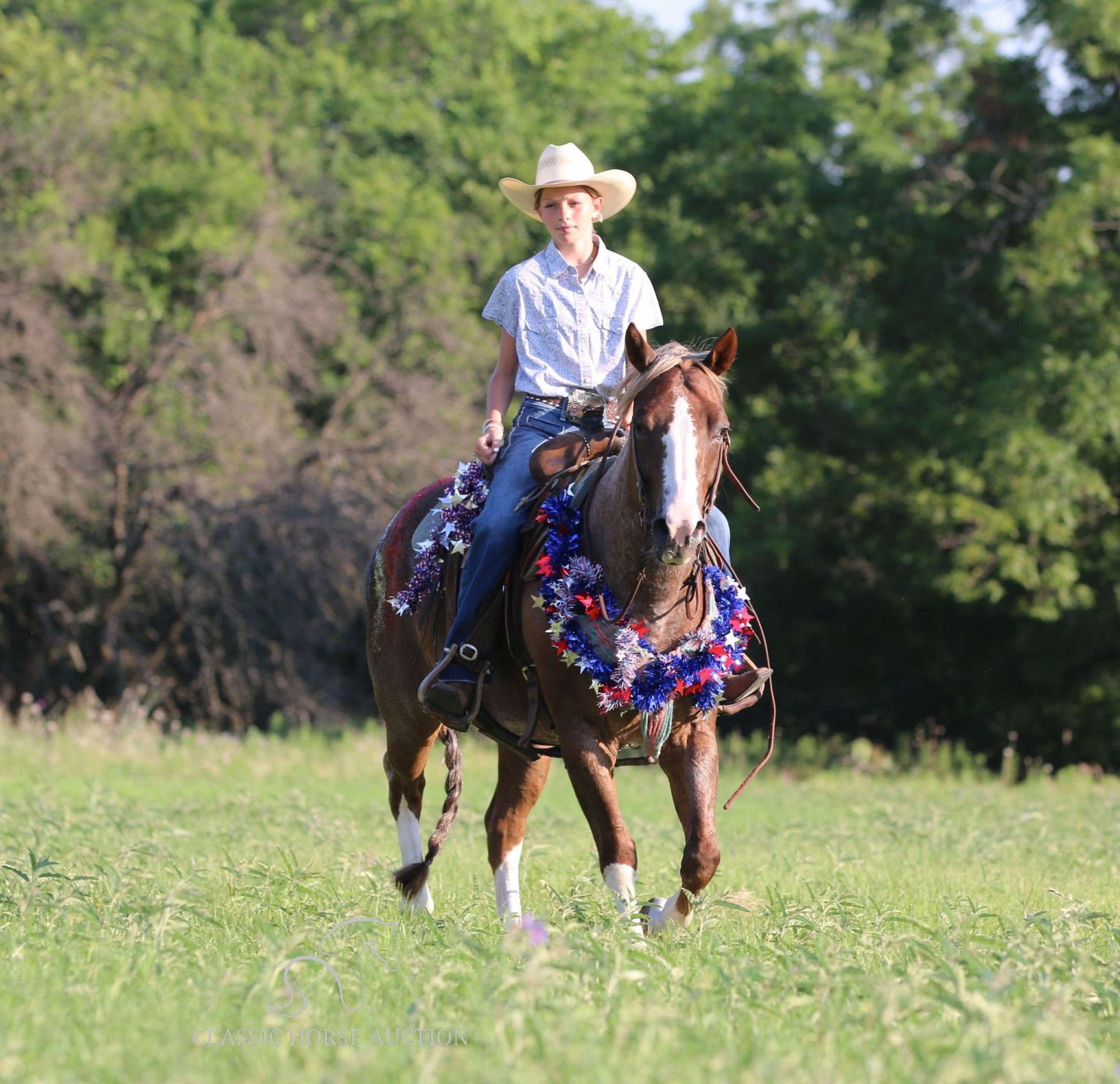 RANCH WORK BEGINNER QUARTER HORSE