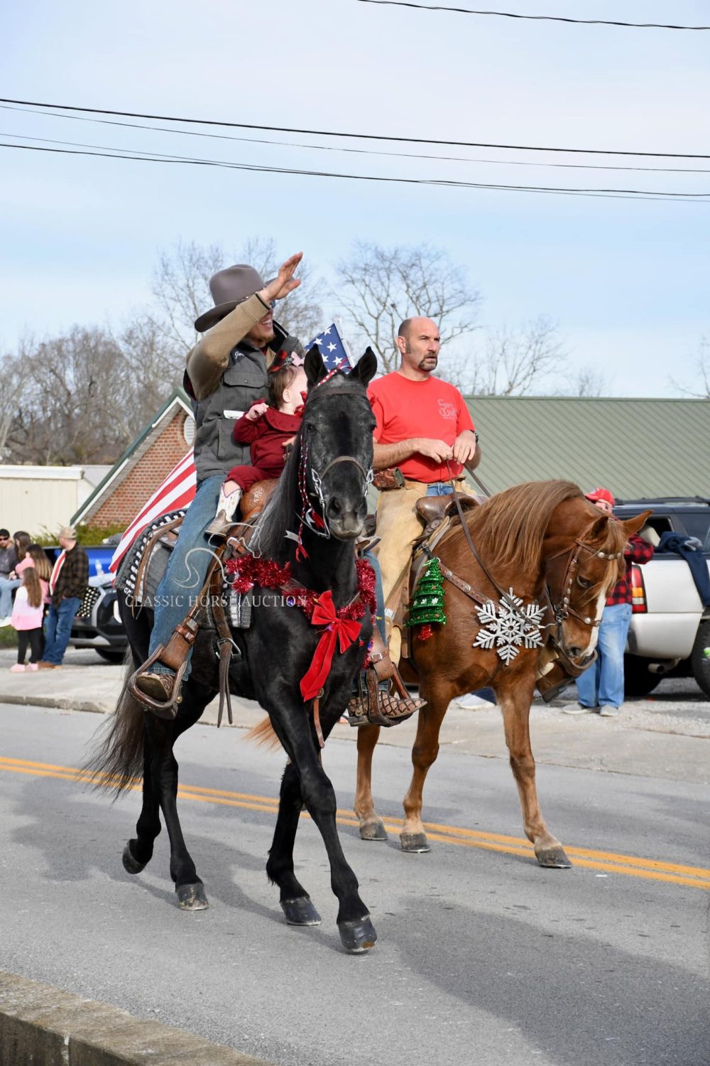AMAZING TENNESSEE WALKING HORSE