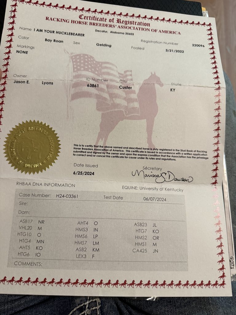 REGISTERED RACKING HORSE